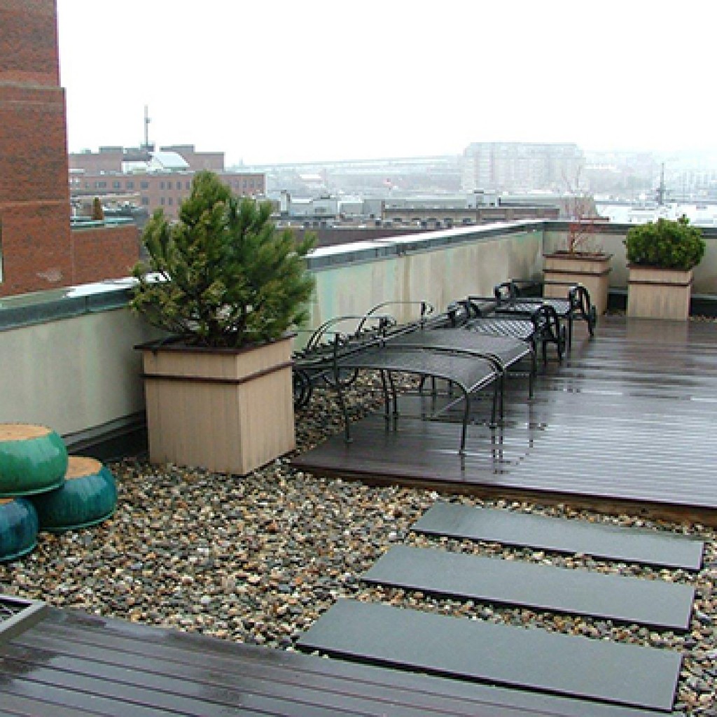 Rooftop Oasis - The Captured GardenThe Captured Garden